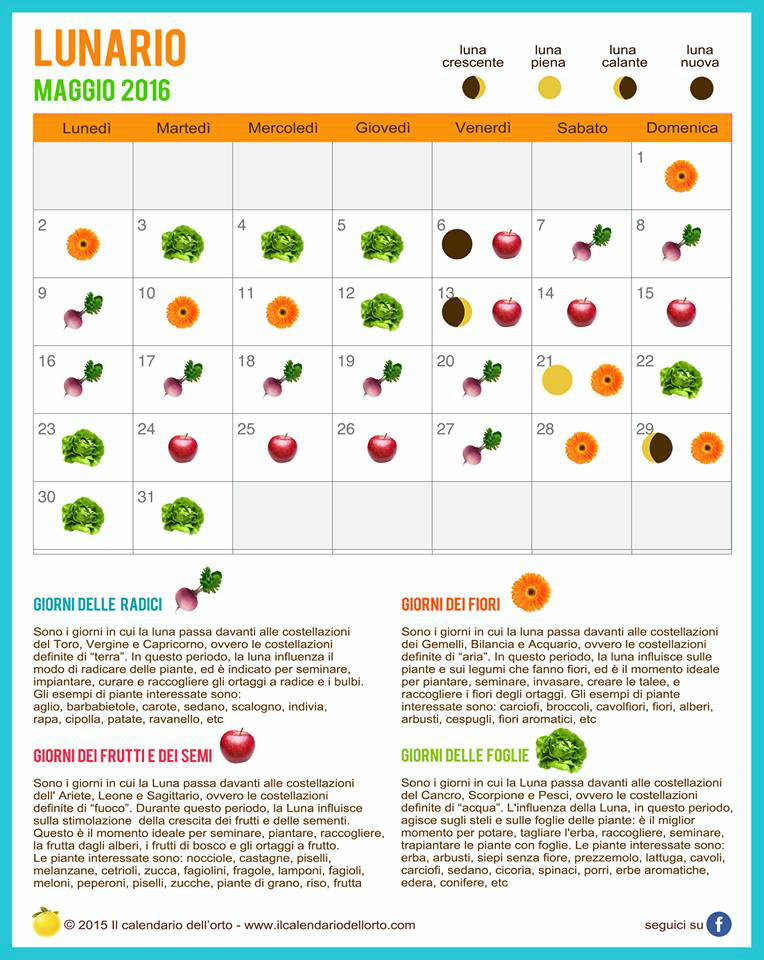 L' orto e il giardino di Maggio 2016 - MarchePlace; Le Marche in un blog